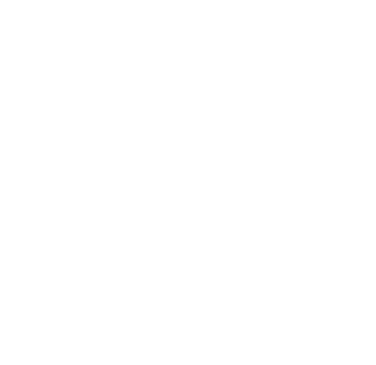 Orion Reflash System - Power Hungry Performance